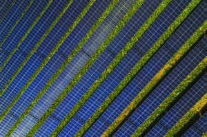 ASB Smart Solar Loan - Future Energy