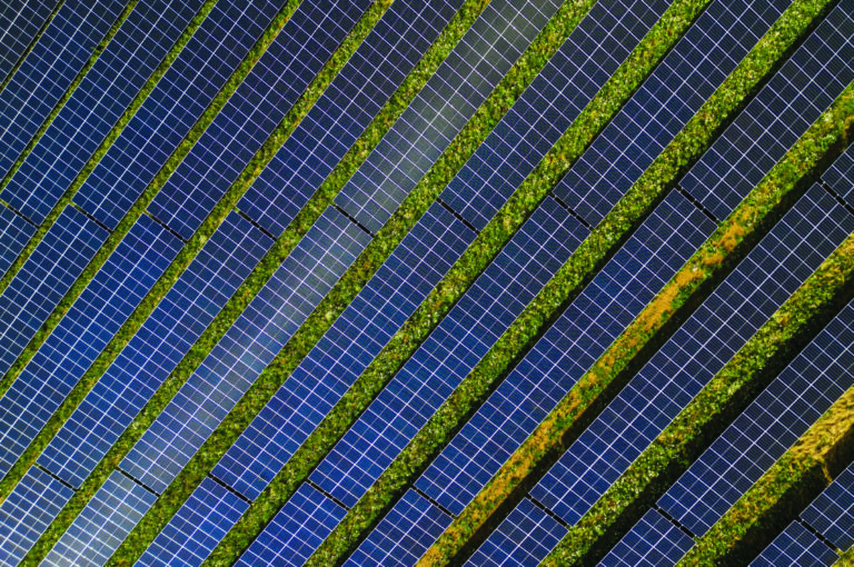 The Complete Guide to Residential Solar in NZ | Future Energy